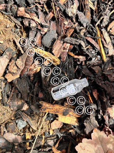 40395512-Drug paraphernalia found in the area Image: Newsquest ...