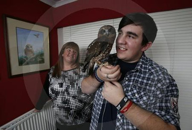 26517619-Connor Tripney age 16 pictured with his pet owl Boo and his ...
