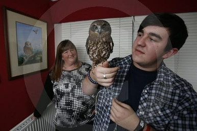 26517620-Connor Tripney age 16 pictured with his pet owl Boo and his ...