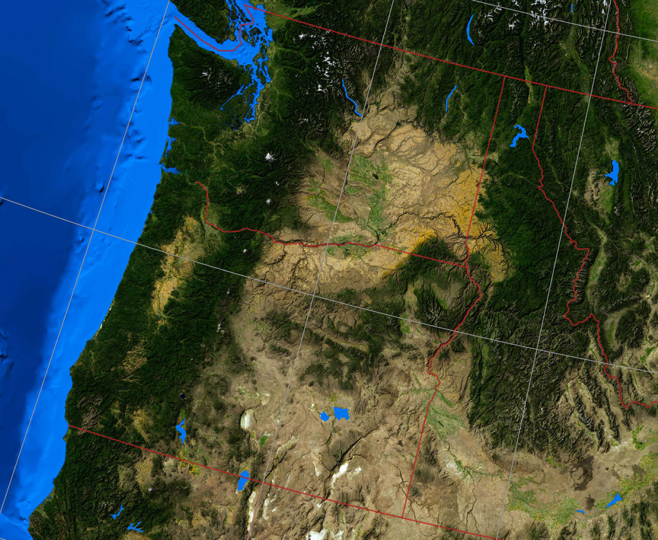 United States Satellite Image Map - Topography & Bathymetry | World ...