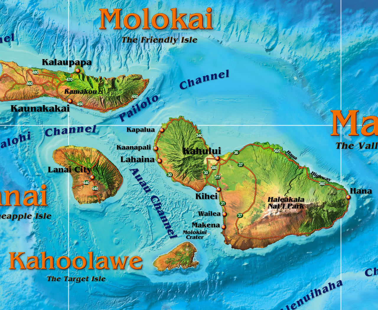 Hawaii Illustrated Wall Map from Compart | World Maps Online