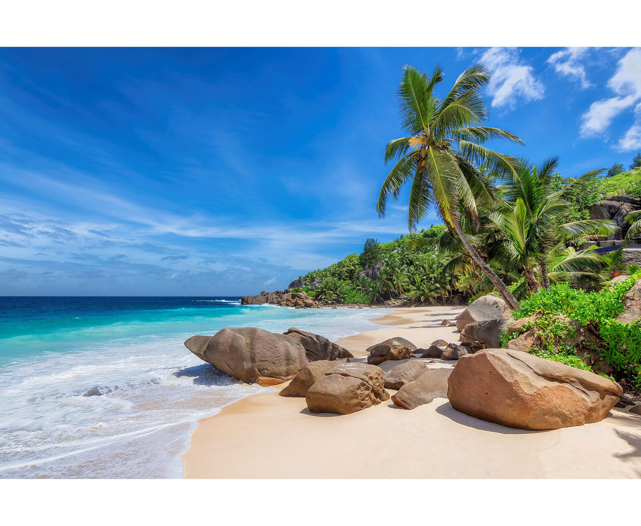 Tropical Beach w/ Coconut Palm Trees in Seychelles Wall Mural | World ...