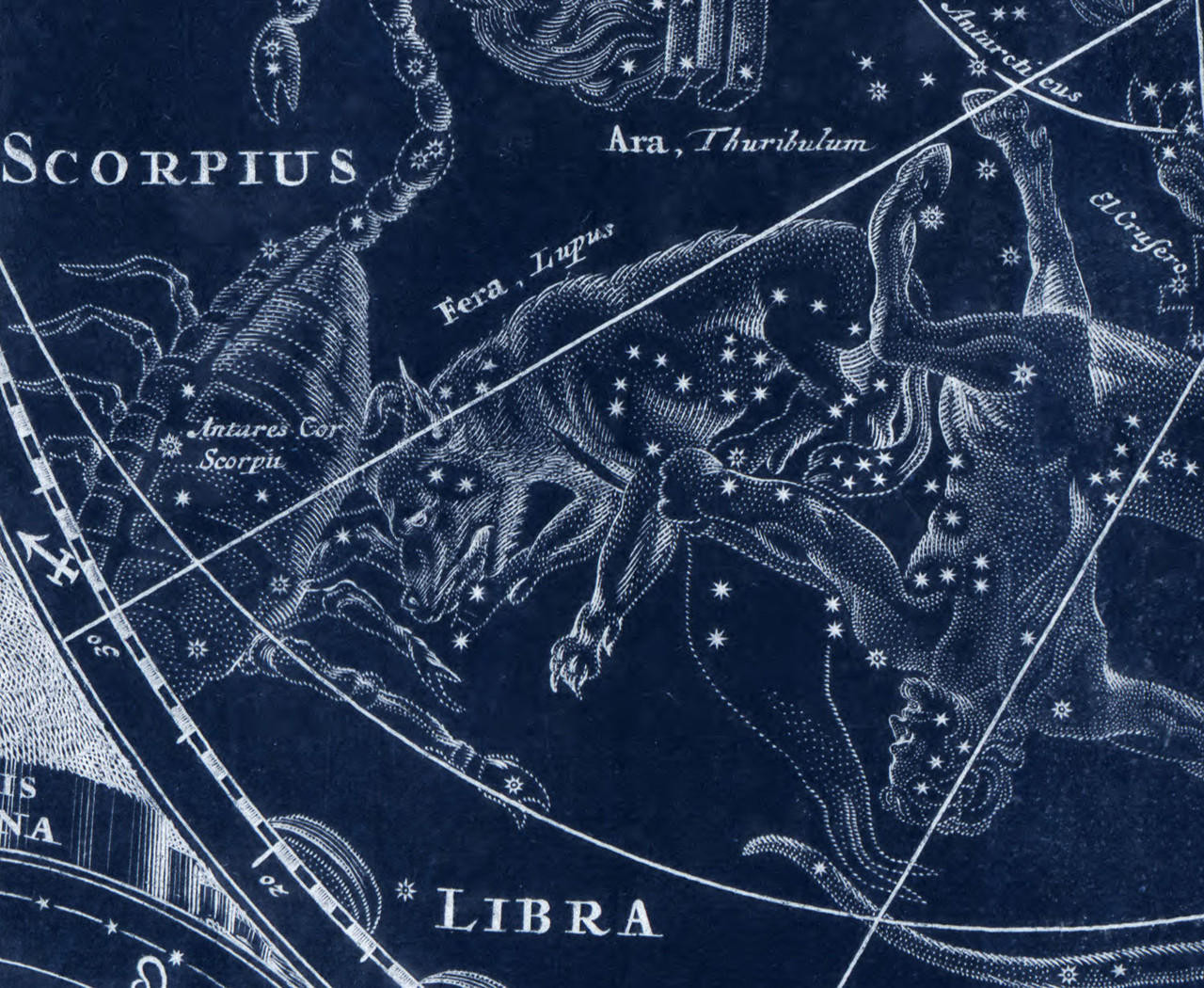 Vintage 1850 Celestial Map "Planisphaerium Coeleste" - Negative ...