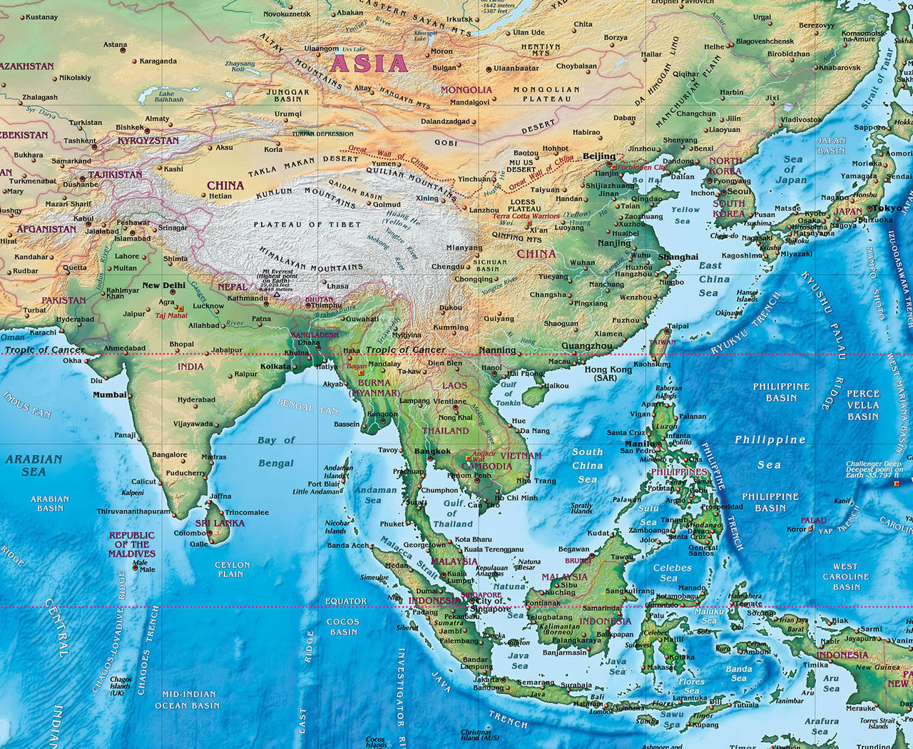 World Physical Wall Map by Compart Maps | World Maps Online