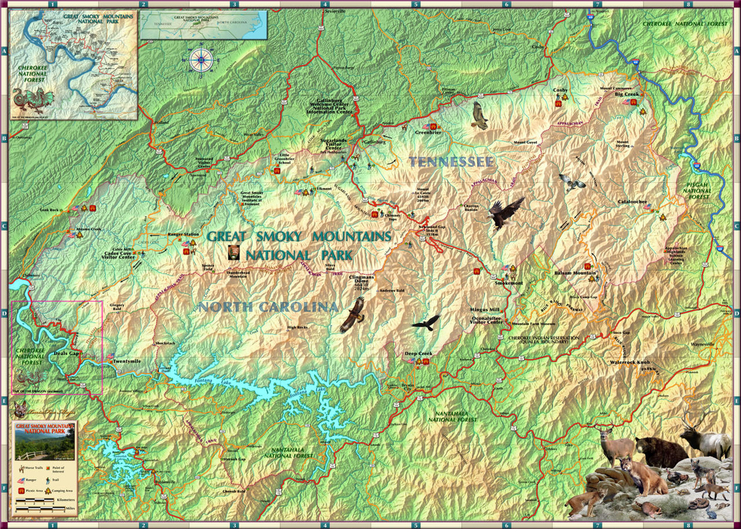 Great Smoky Mountains Illustrated Map From Compart World Maps Online great-smoky-mountains-illustrated-map-from-compart-world-maps-online