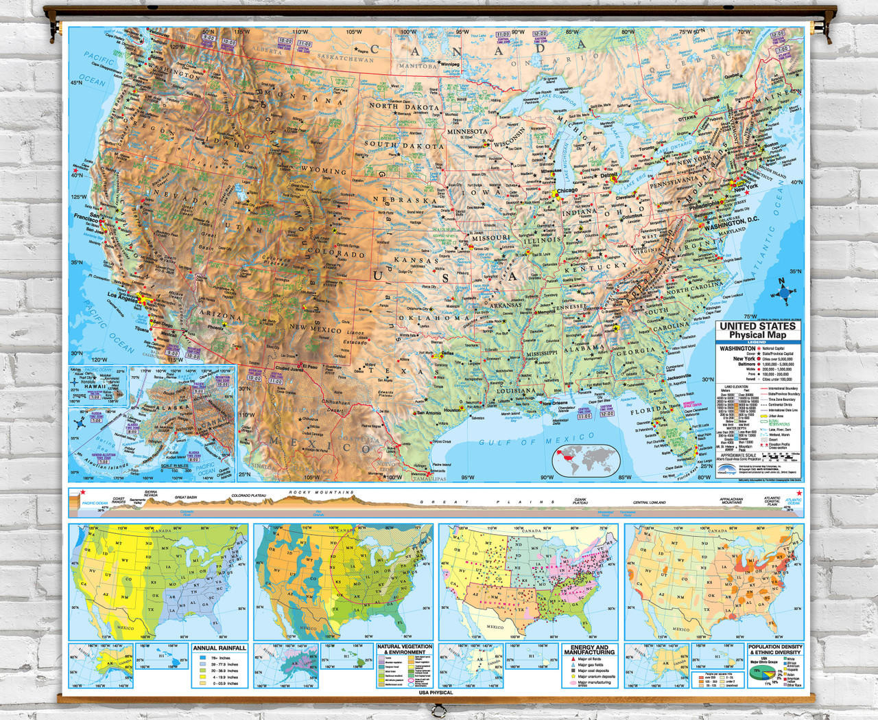 United States Electoral College Spring Roller Map - U.S. 2024 & 2028 ...