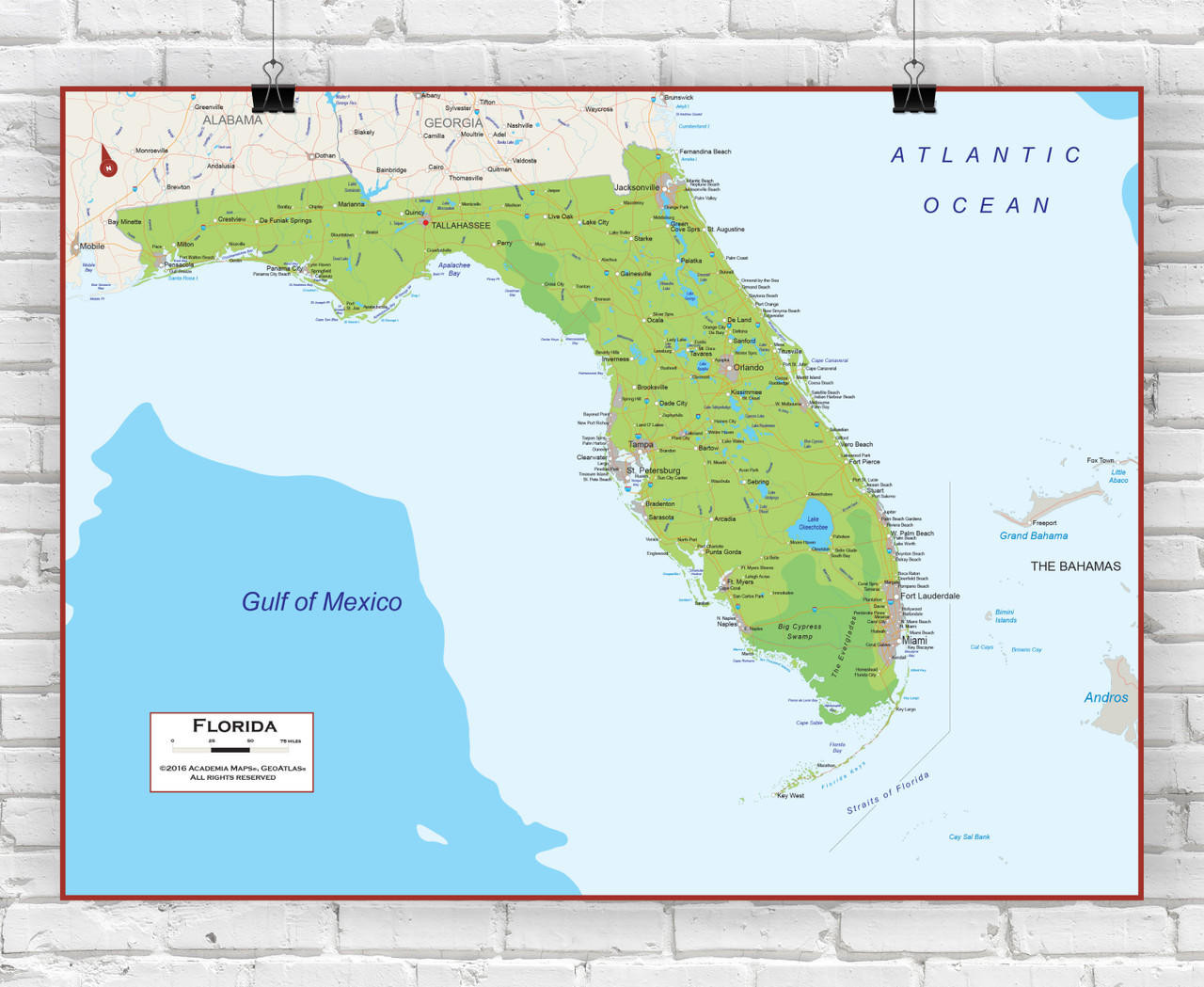 Florida Wall Map - Physical | World Maps Online
