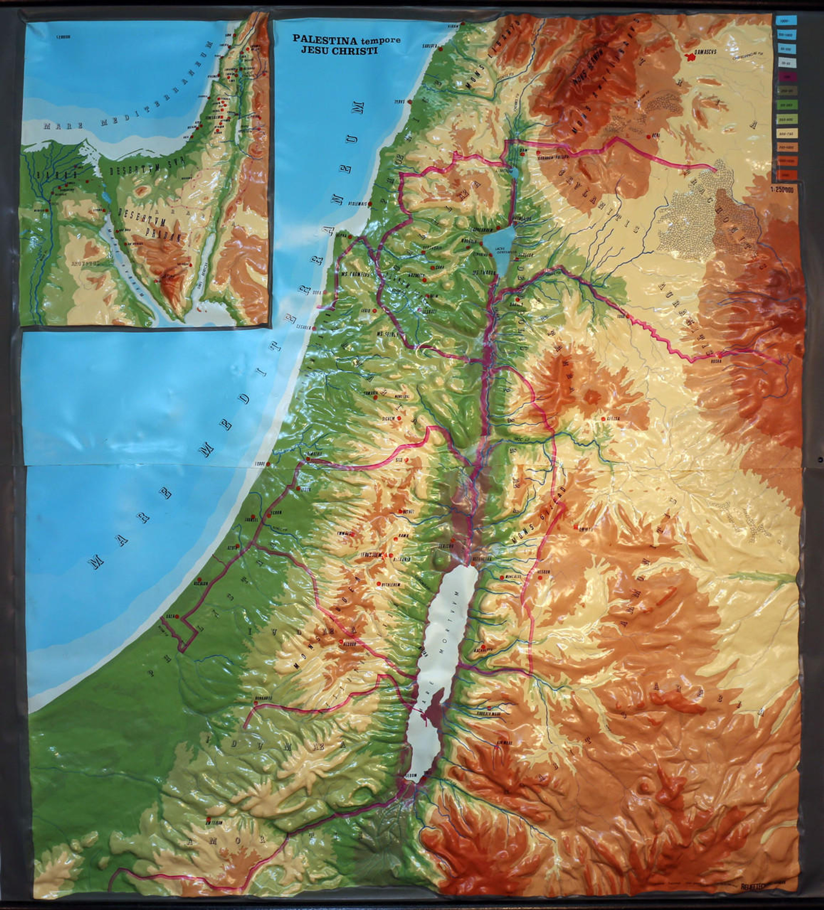 Palestine (Holy Land) Large Extreme Relief Map - Latin Text | World ...