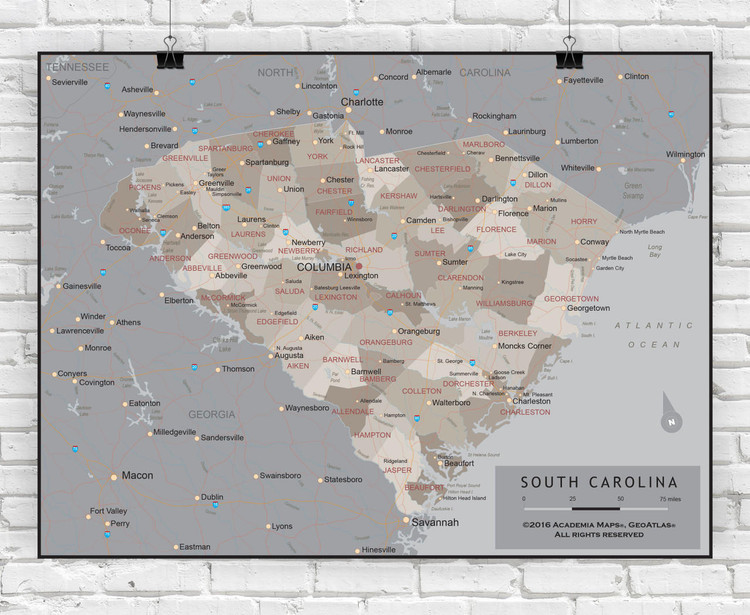 South Carolina Wall Map - Executive | World Maps Online