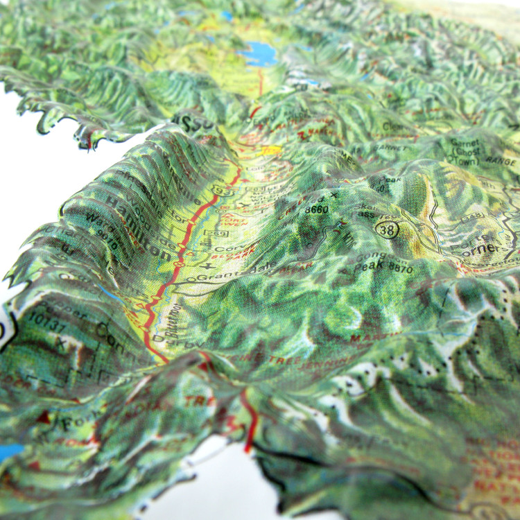 Montana Natural Color Raised Relief Map | World Maps Online
