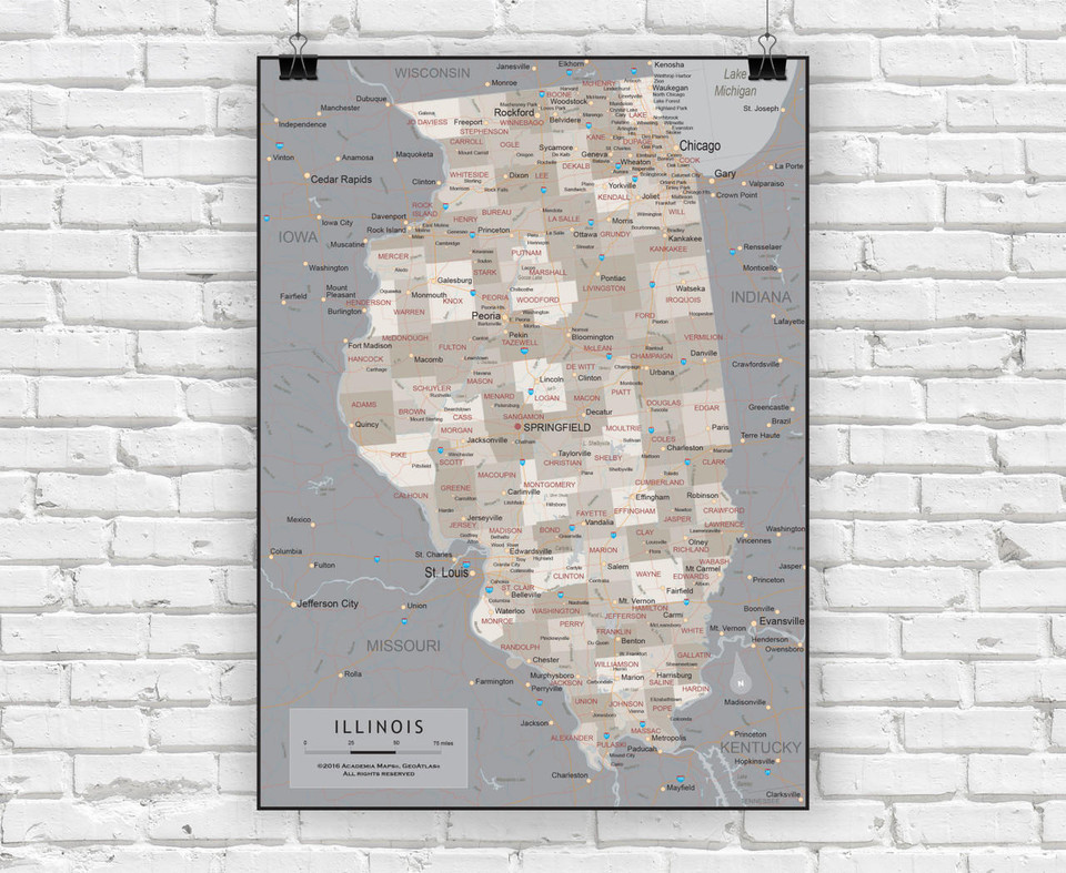 Illinois Wall Map - Physical | World Maps Online