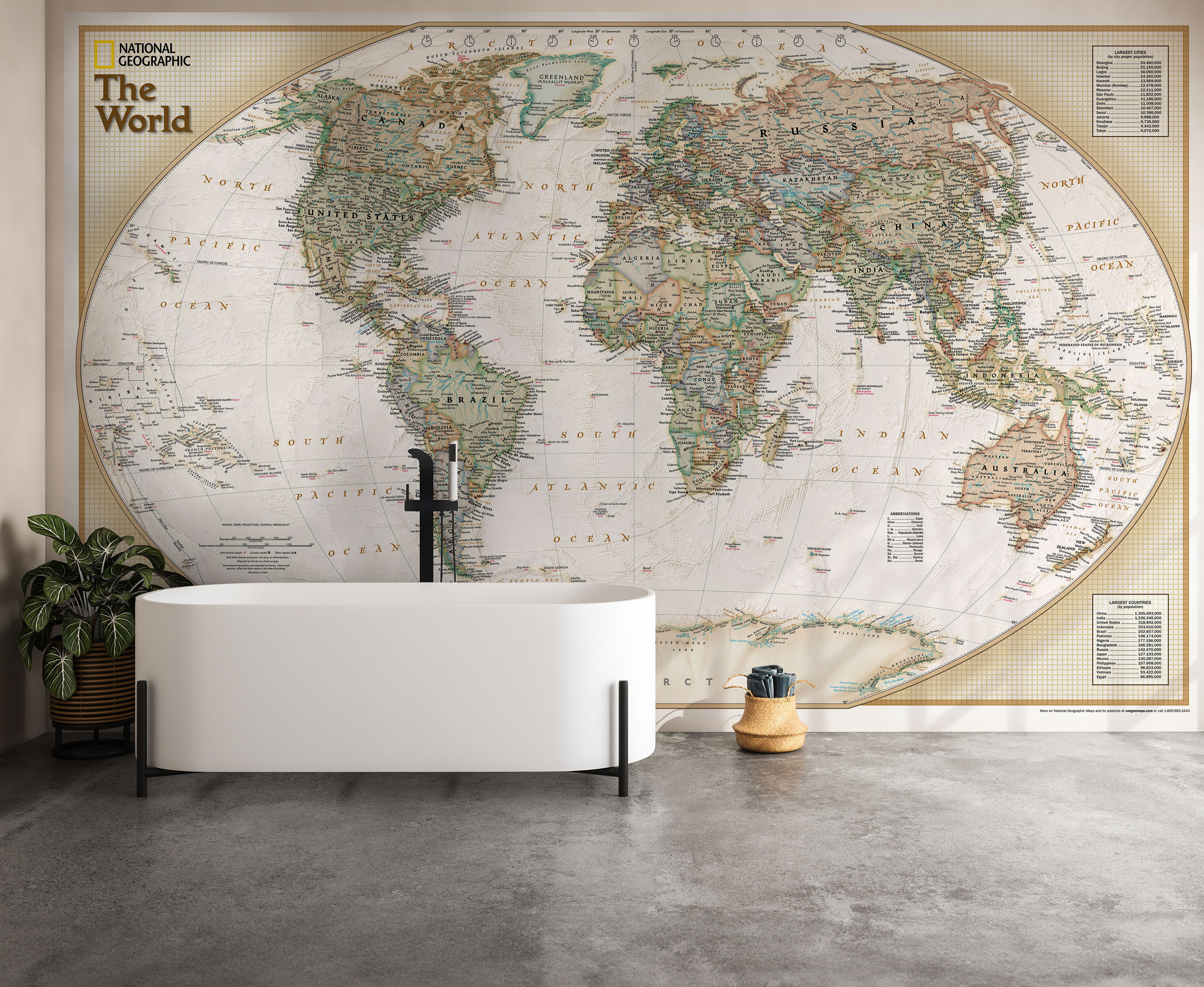National Geographic World Explorer Executive Map Mural | World Maps Online