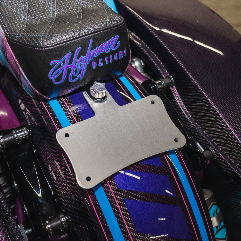 Hofmann Designs Quick Detach Lay-Down License Plate Kit - HDB1059B ...