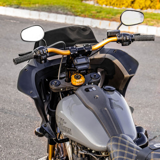 GPR V5S Stabilizer Kit for 2020-2024 Harley Lowrider S - Gold - 5-5011 ...