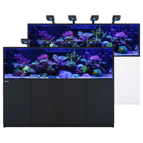RED SEA REEFER Deluxe S-1000 G3 Aquarium System (210 Gallons) (incl. 4 ...