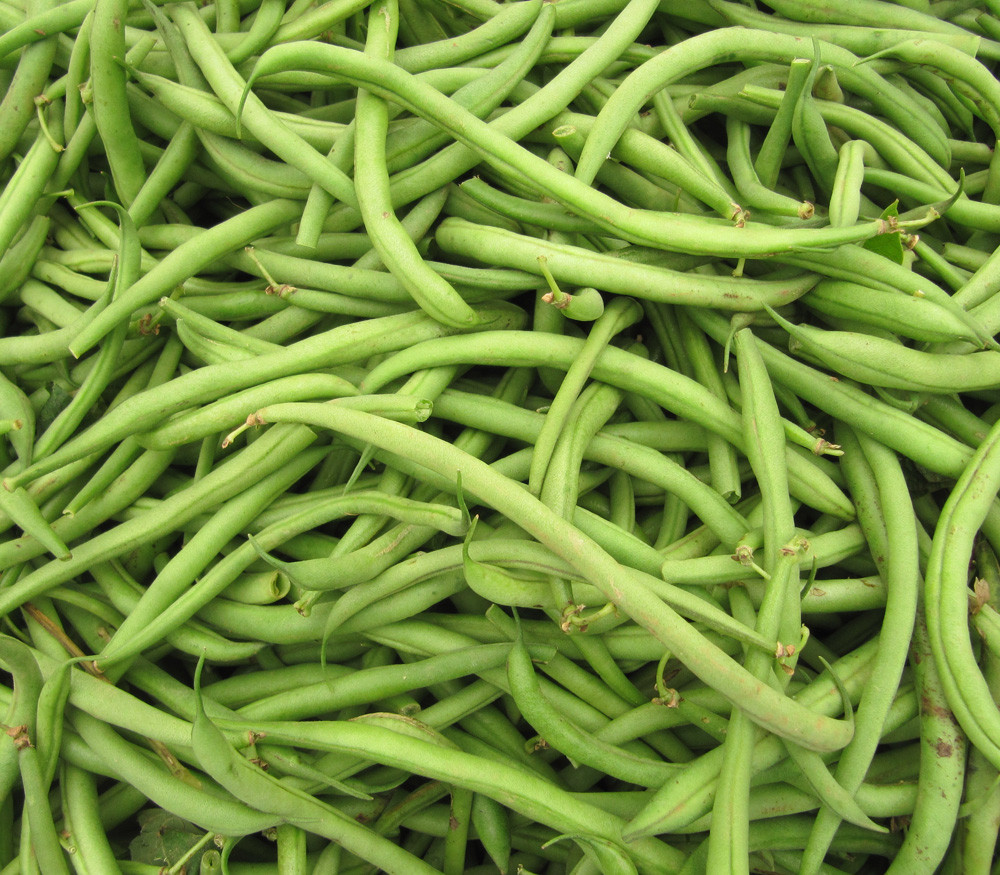 Blue Lake Beans, Pole Seeds