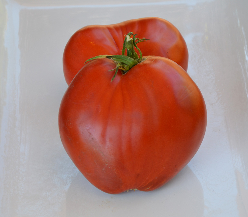 Aunt Ginny's Purple Tomato Seeds