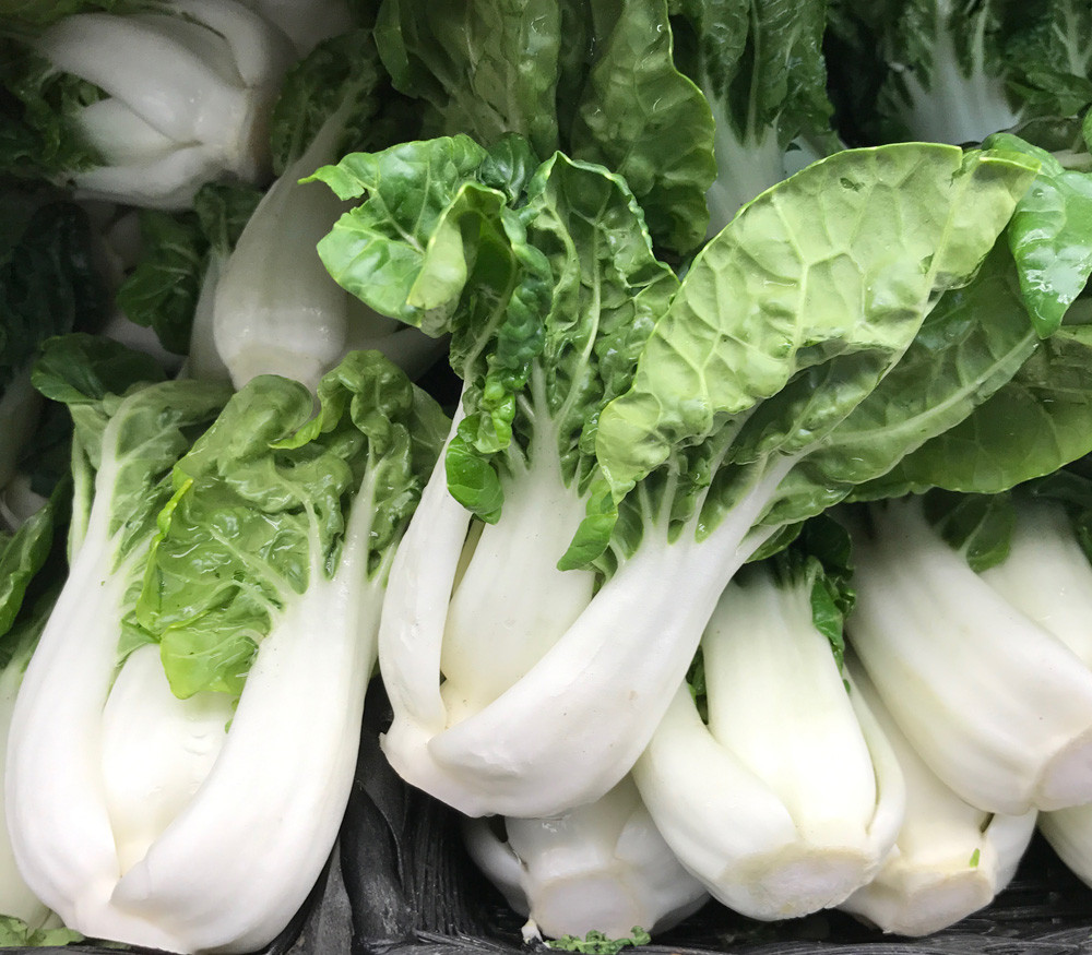 Long White Choy Sum Seeds