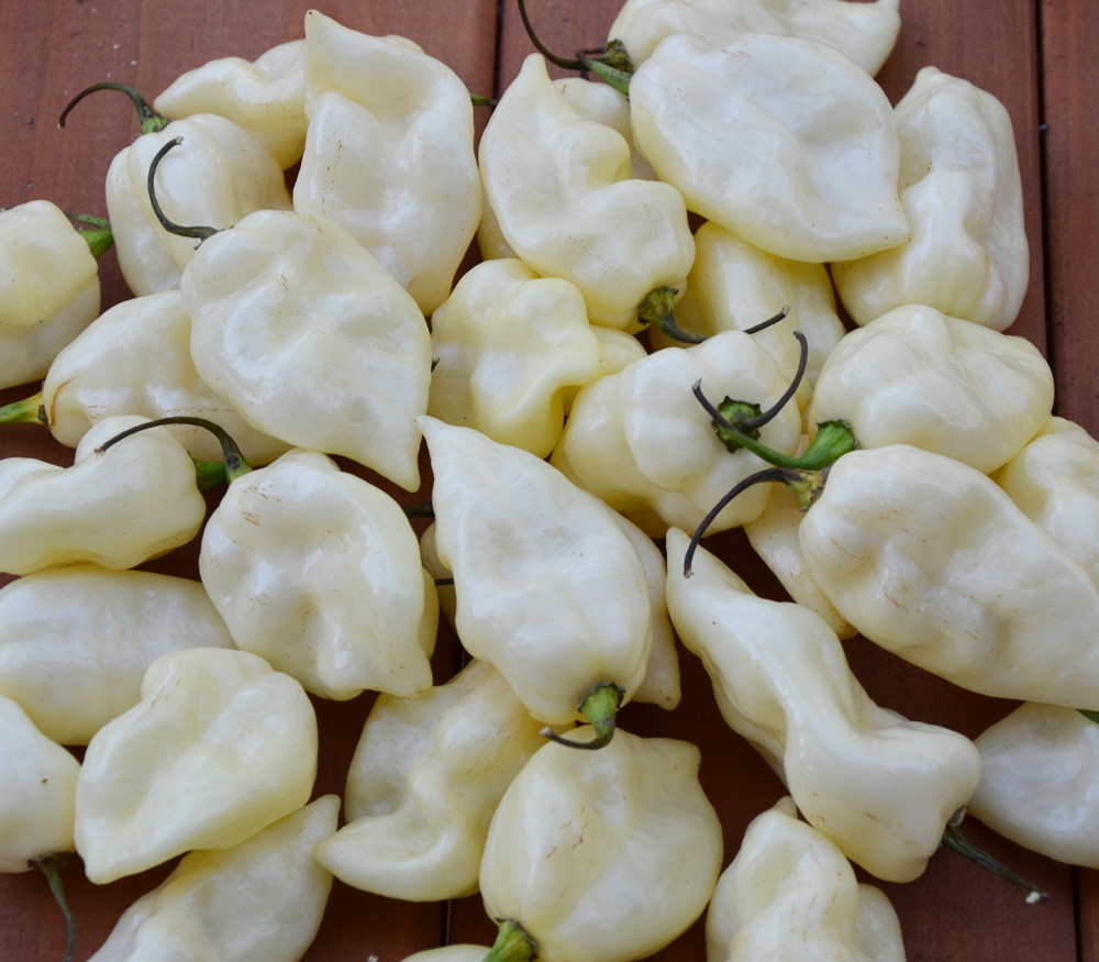 Japones Pepper Seeds