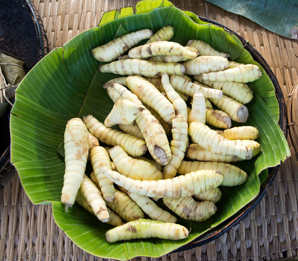 Baccaurea edulis - Mawoi - Seeds