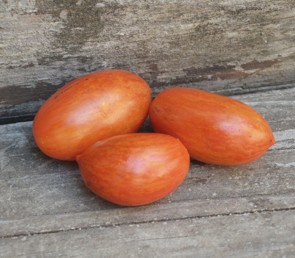Brazilian Beauty Tomato Seeds