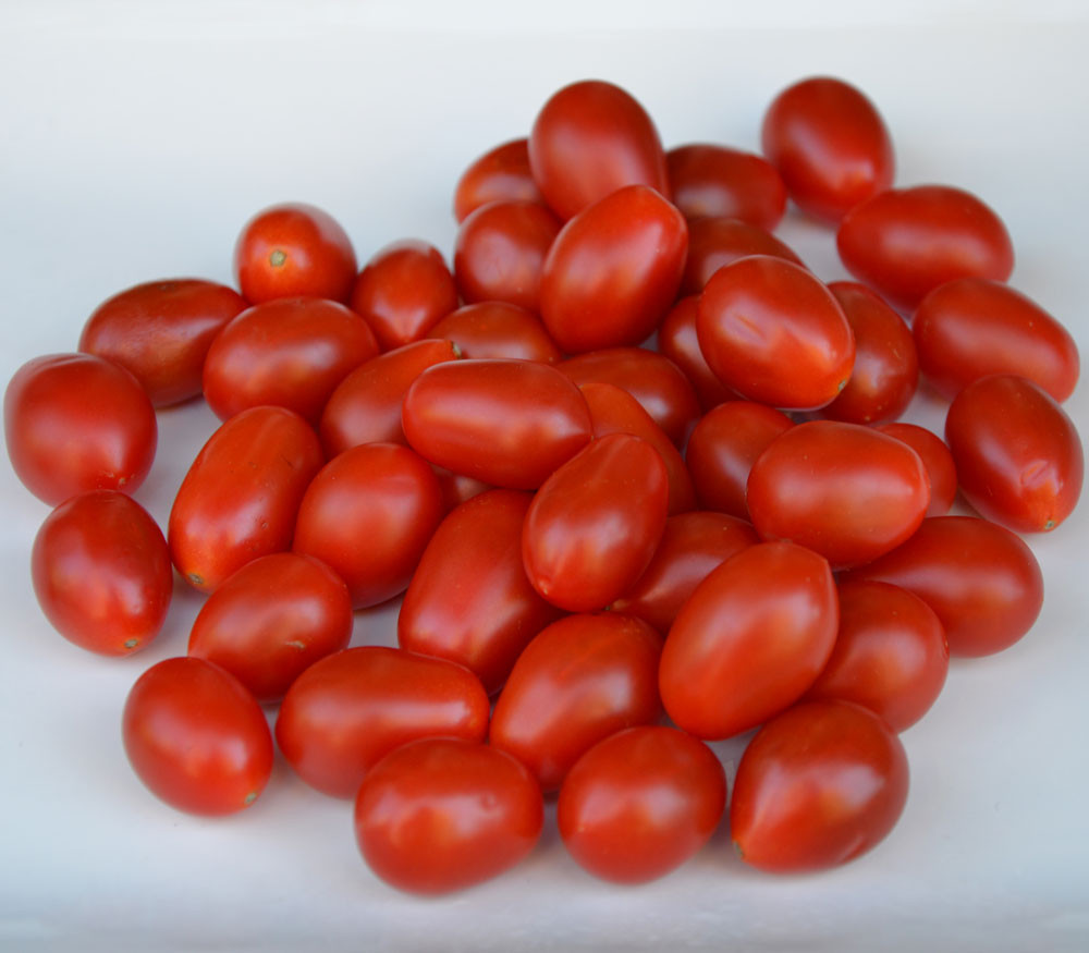 Mini Roma Tomato Seeds