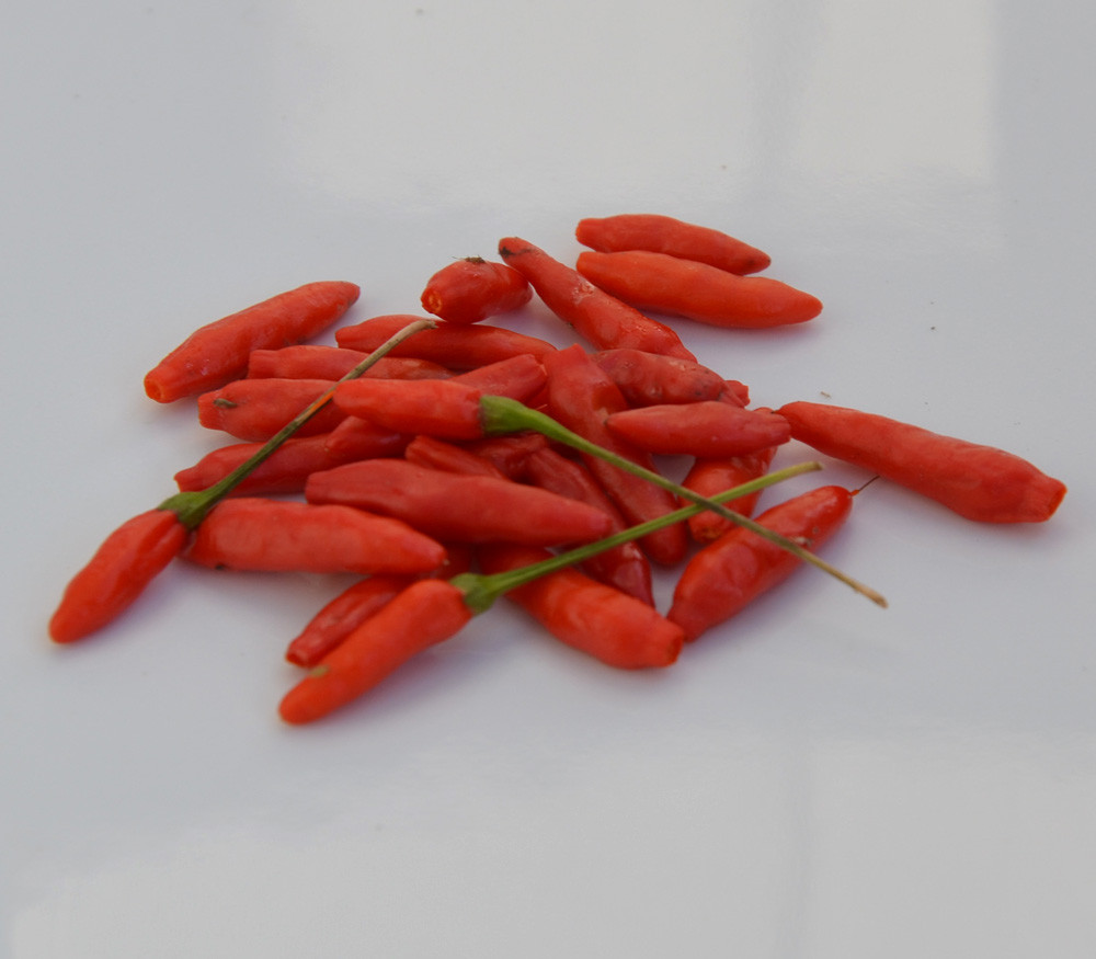 Doni Sali Pepper Seeds