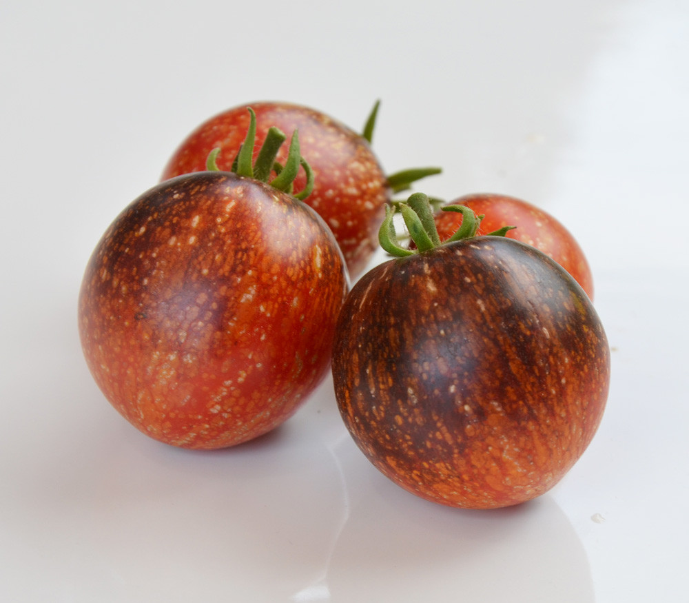 Blue Fire Tomato Seeds