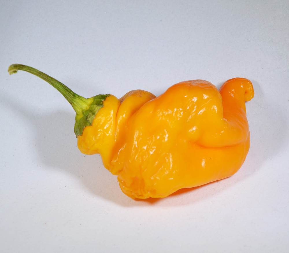 Monkey Face Yellow Pepper Seeds