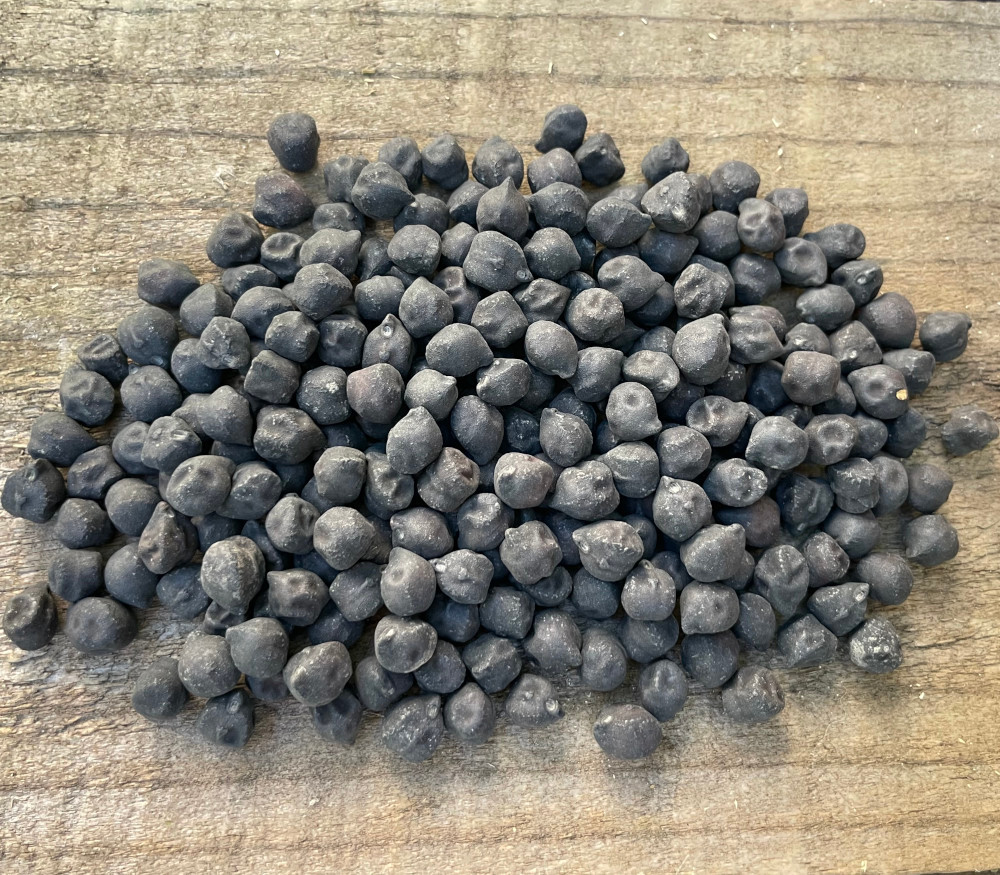 Garbanzo Bean, Black Ceci Neri Seeds