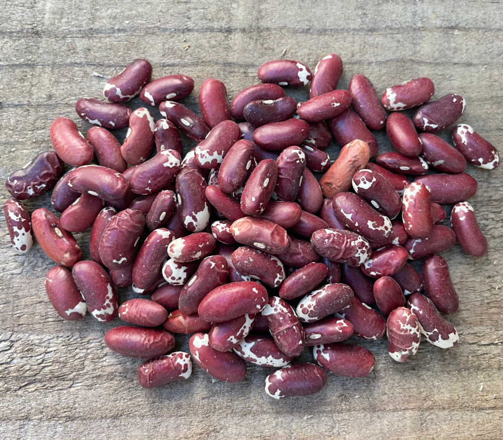 Jacob's Cattle Bean Seeds