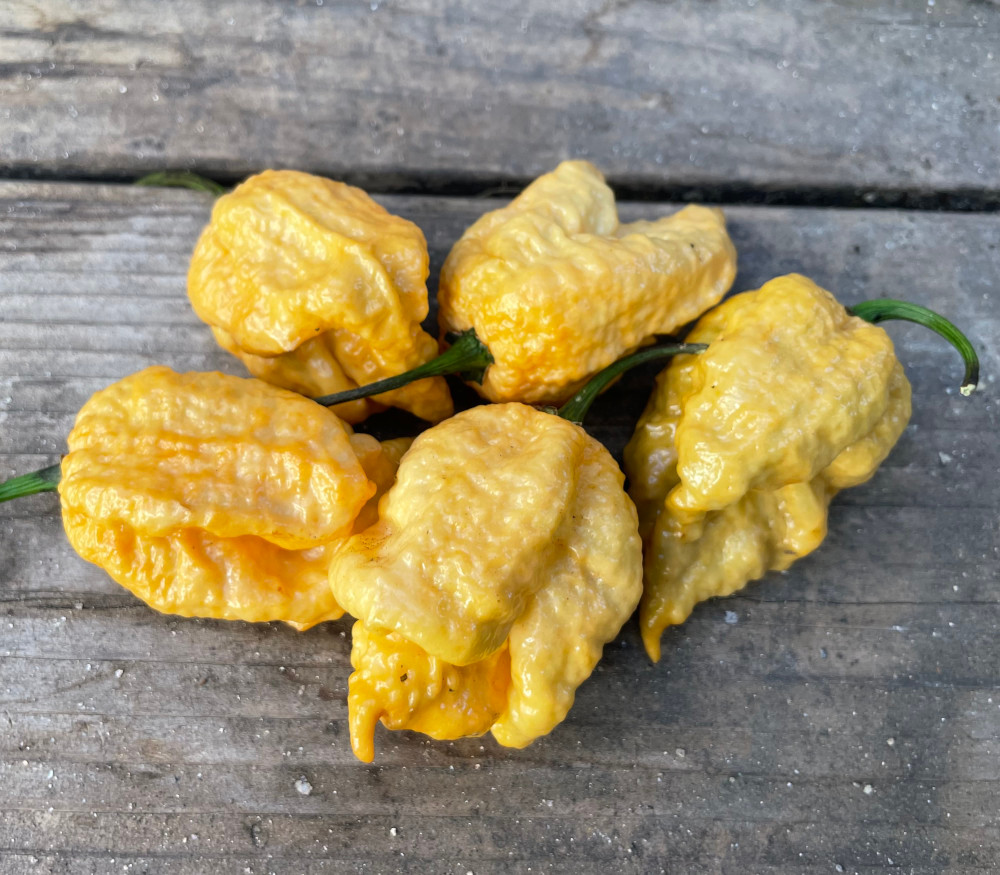 Golden Reaper Pepper Seeds