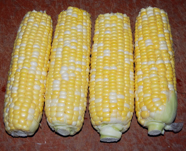 Oaxacan Green Dent Corn Seeds