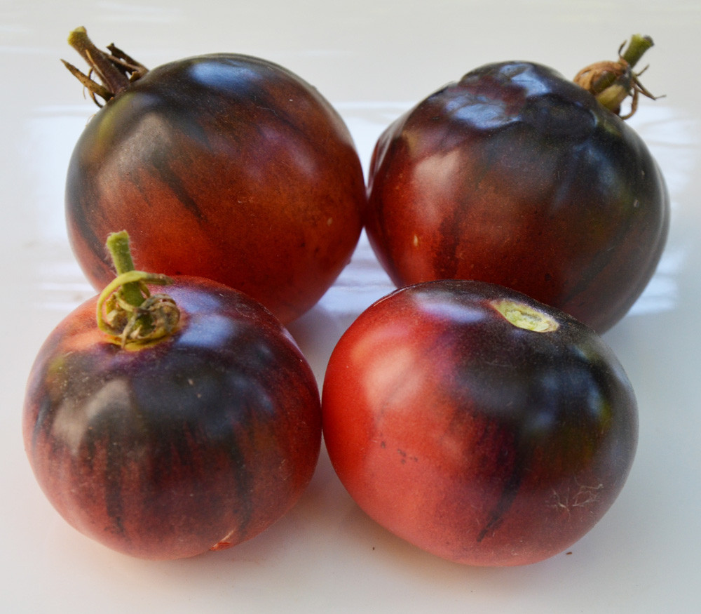Oaxacan Jewel Tomato Seeds