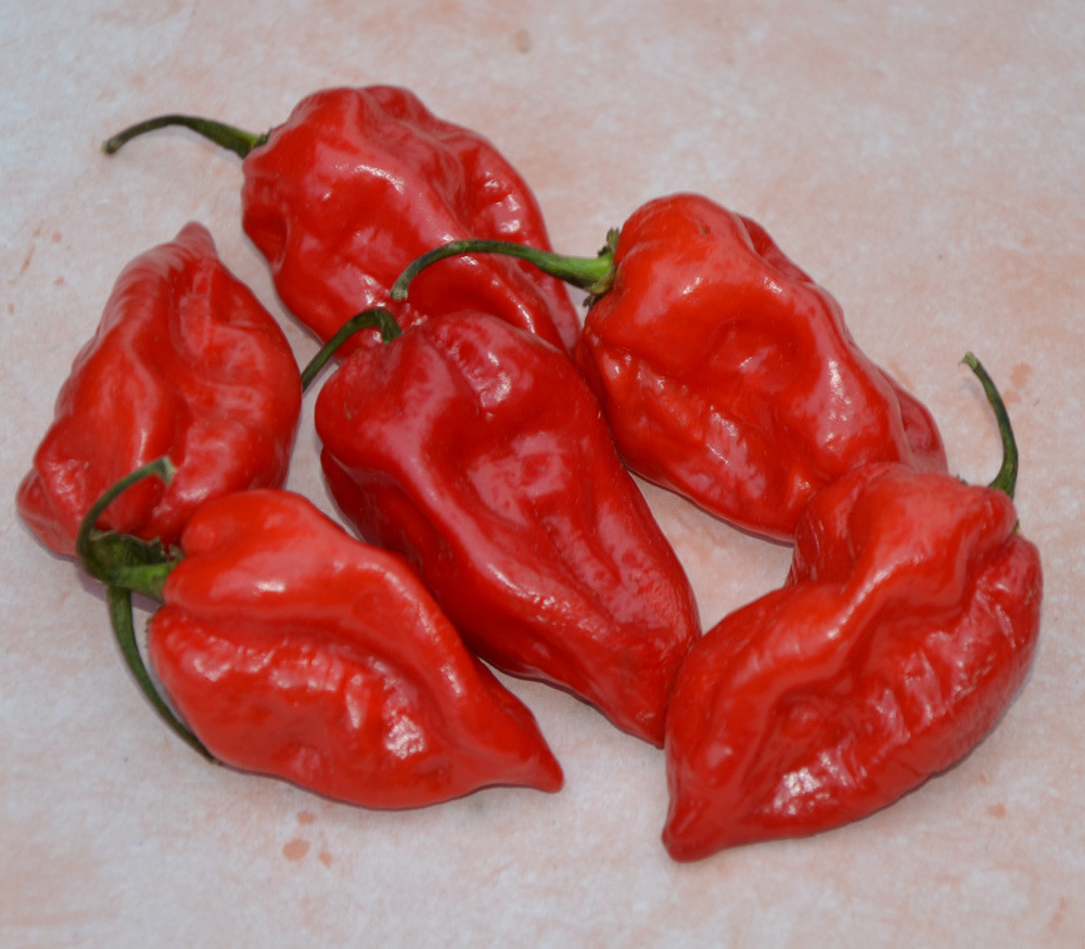 Inca Red Drop Pepper Seeds