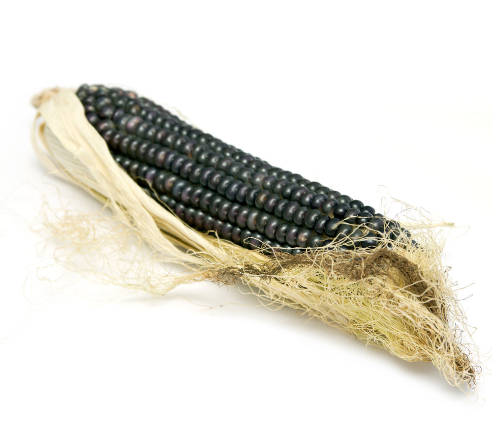 Black Aztec Corn Seeds
