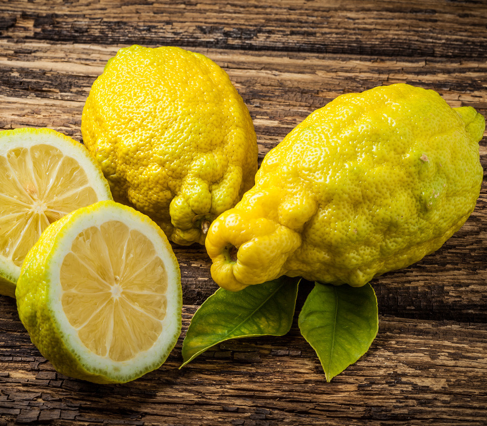 Citrus jambhiri - Shaub Rough Lemon - Seeds