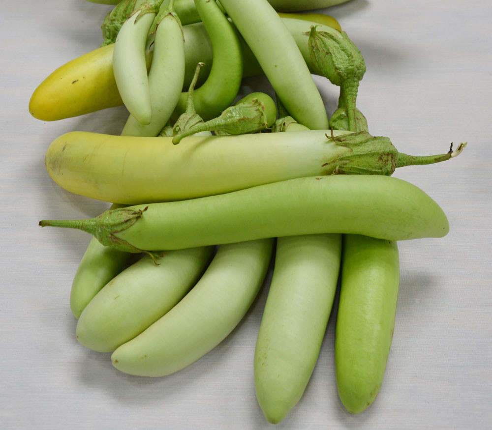 Goat Horn Pepper Seeds