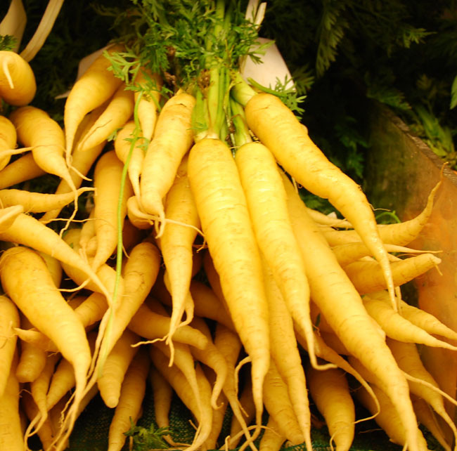 White Satin Carrot Seeds