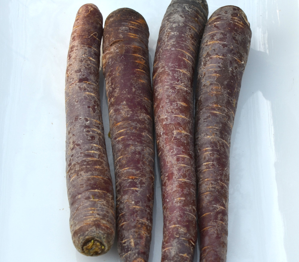 Purple Sun Carrot Seeds