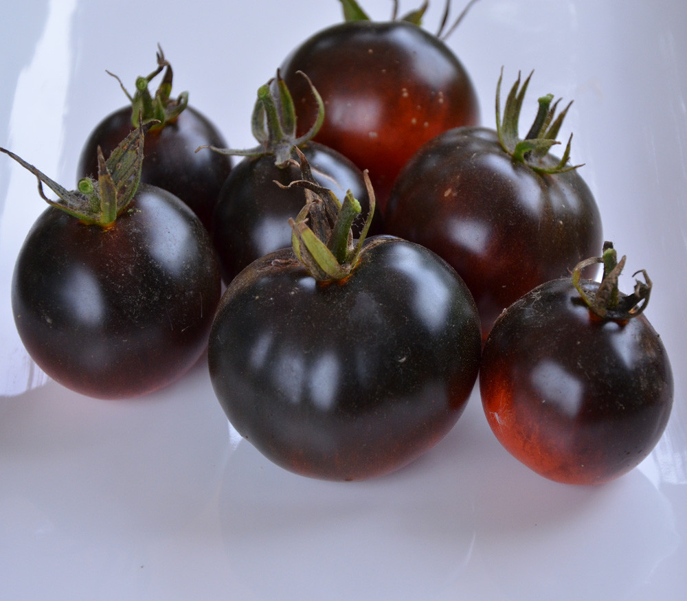 Cascade Village Blue Tomato Seeds