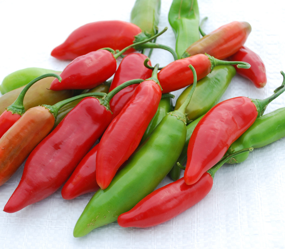 Aji Delight Pepper Seeds