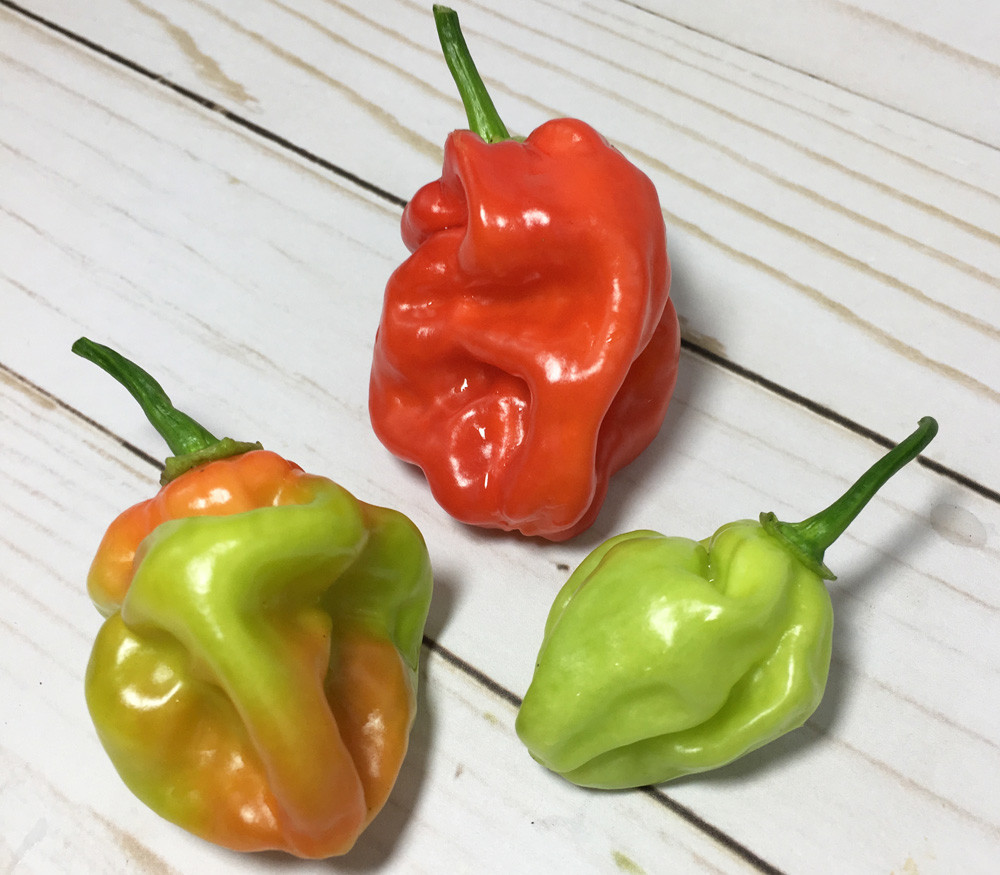 Aji Delight Pepper Seeds