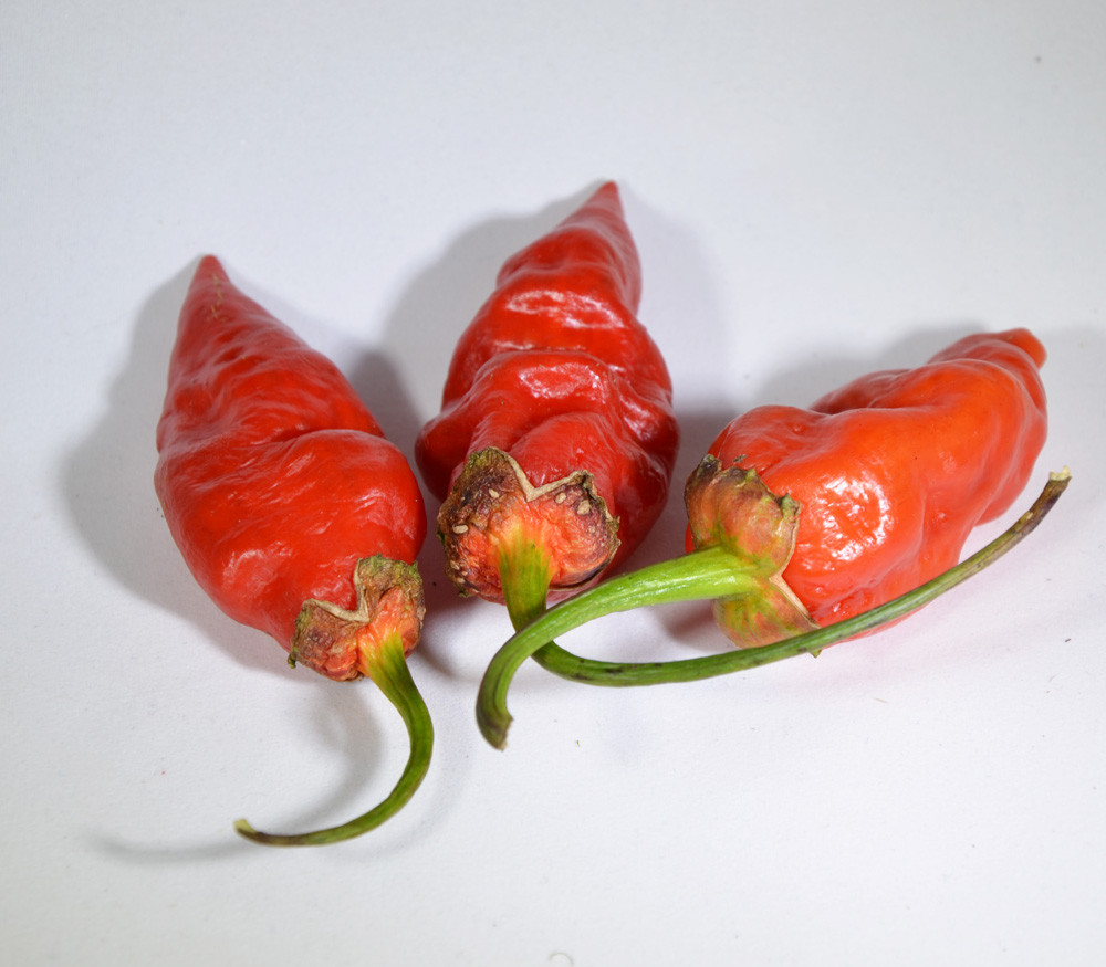 Thunder Mountain Longhorn Pepper Seeds