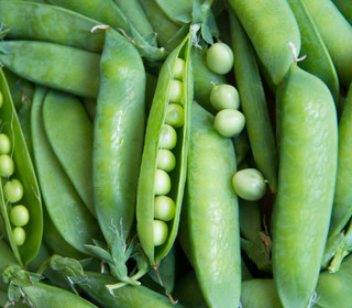 Blue Podded Pea Seeds