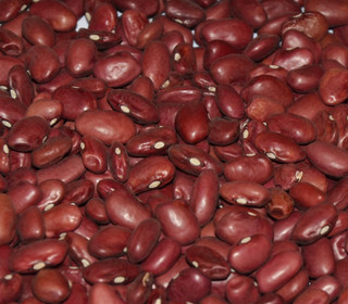 Red Nightfall Bean Seeds
