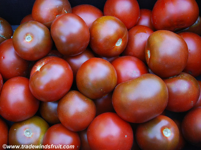 Tasmanian Chocolate Tomato Seeds