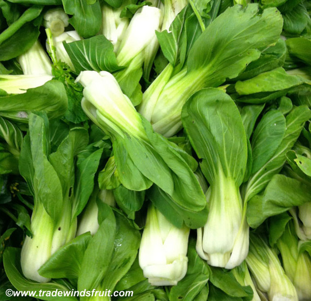 Extra Dwarf Pak Choi Seeds