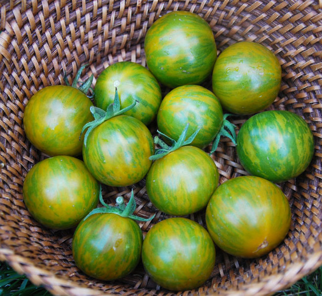 Black Zebra Tomato Seeds