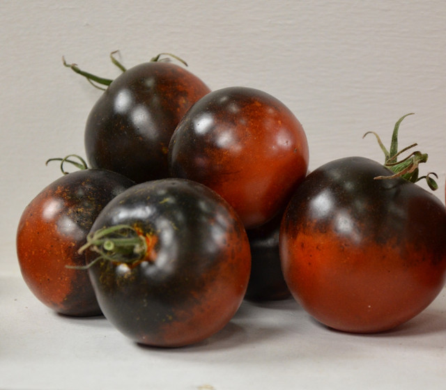 Blue Fire Tomato Seeds
